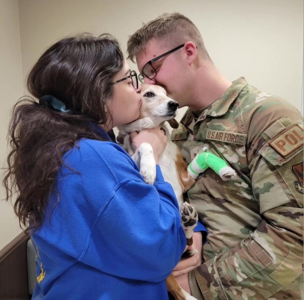 Rainbow Bridge Alumni - Southern Nevada Beagle Rescue Foundation